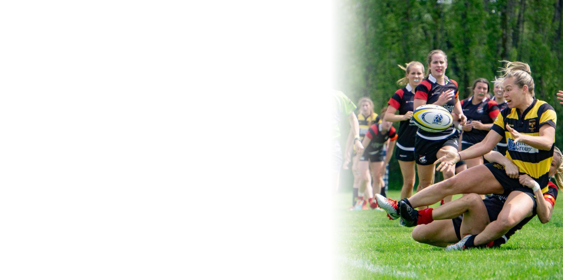 Competitions – BC Rugby